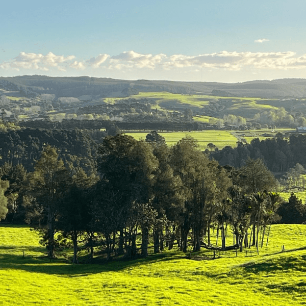 RURAL AUCKLAND FARM PARK - RVLP Family Office